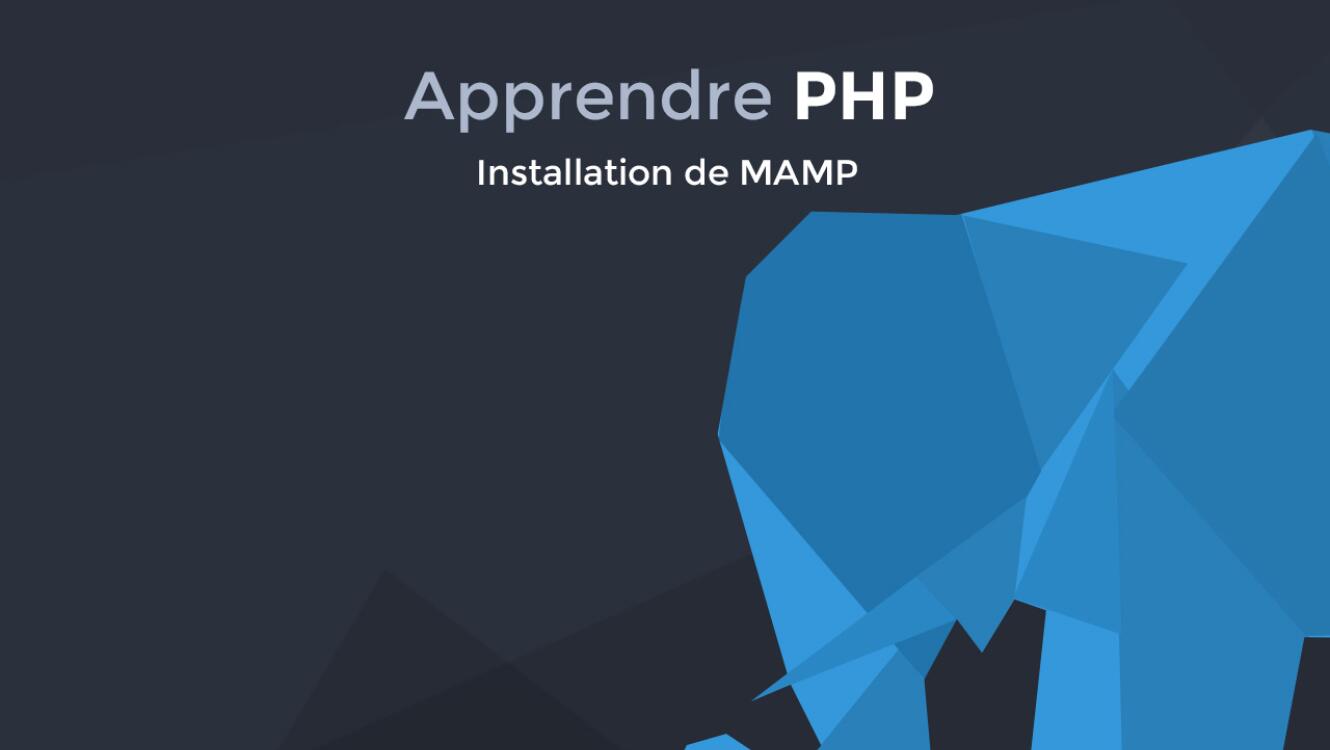 Installation — Formation Apprendre Php Grafikart