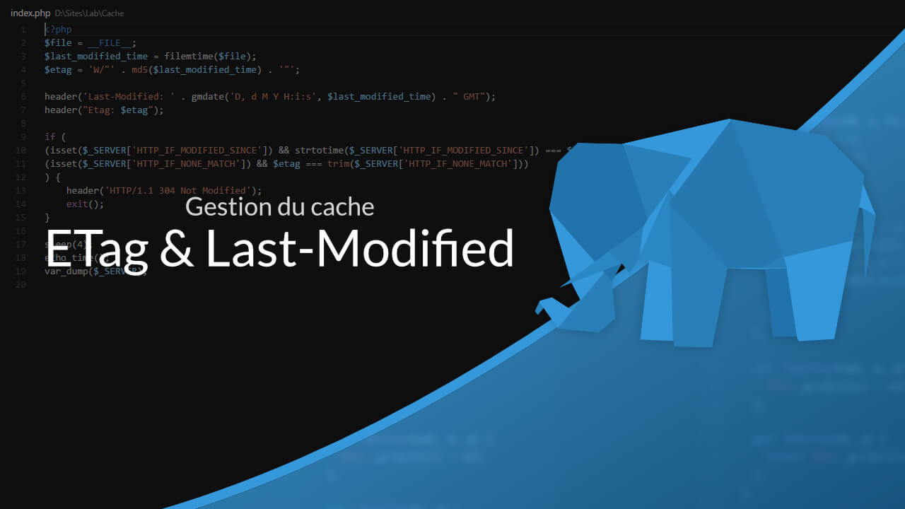 Tutoriel vidéo PHP : Gestion du cache Etag et Last-Modified | Grafikart