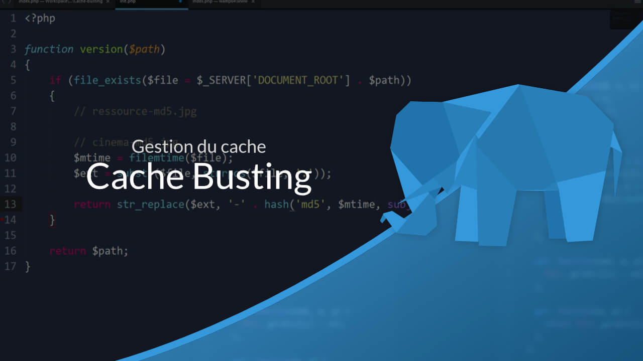 Tutoriel vidéo HTTP : Le Cache Busting | Grafikart