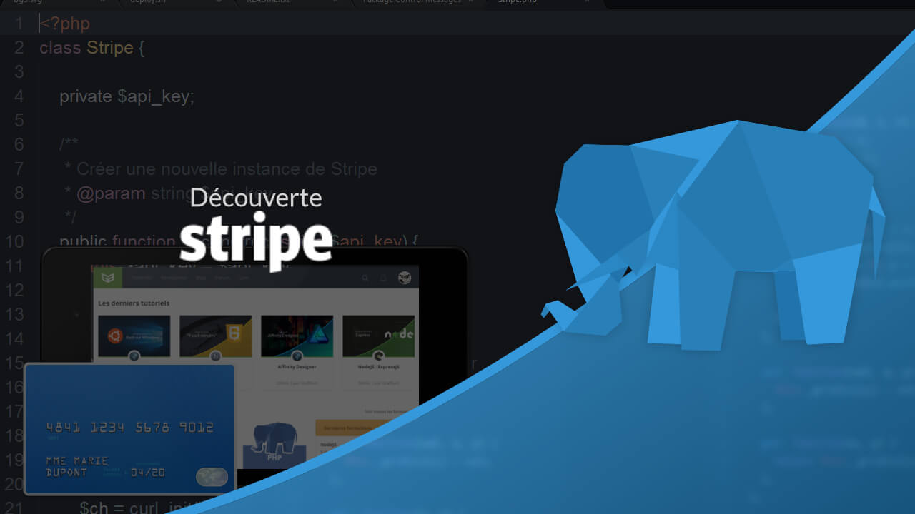 Tutoriel Vidéo Php And Stripe Module De Paiement Stripe Grafikart 0180