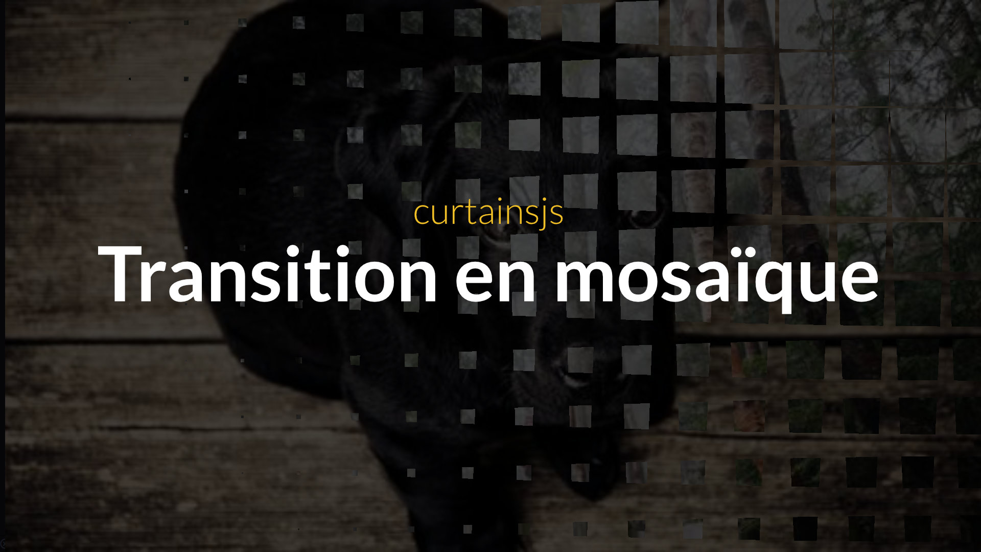 Tutoriel vidéo JavaScript : Transition en mosaïque avec curtainsjs ...