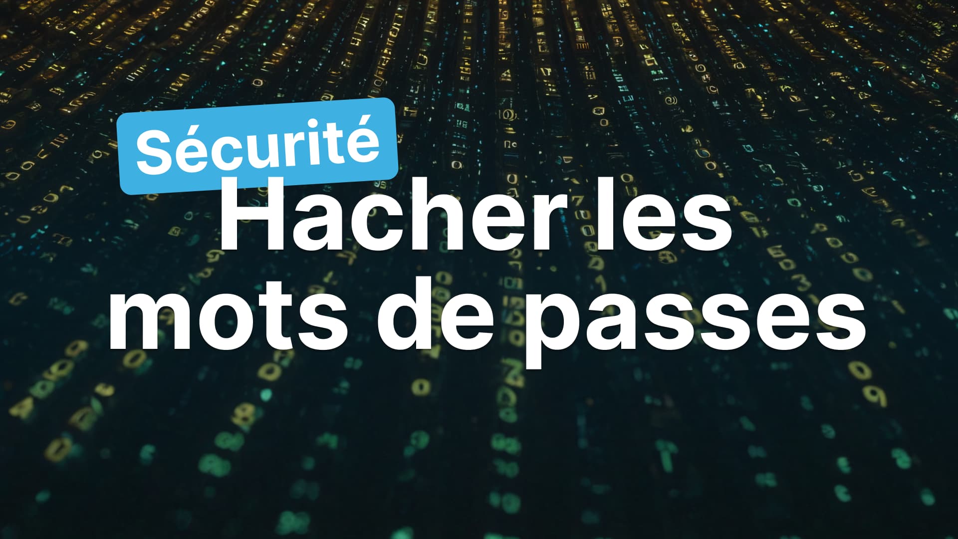 Hacher Les Mots De Passe — Formation Sécuriser Ses Applications Web